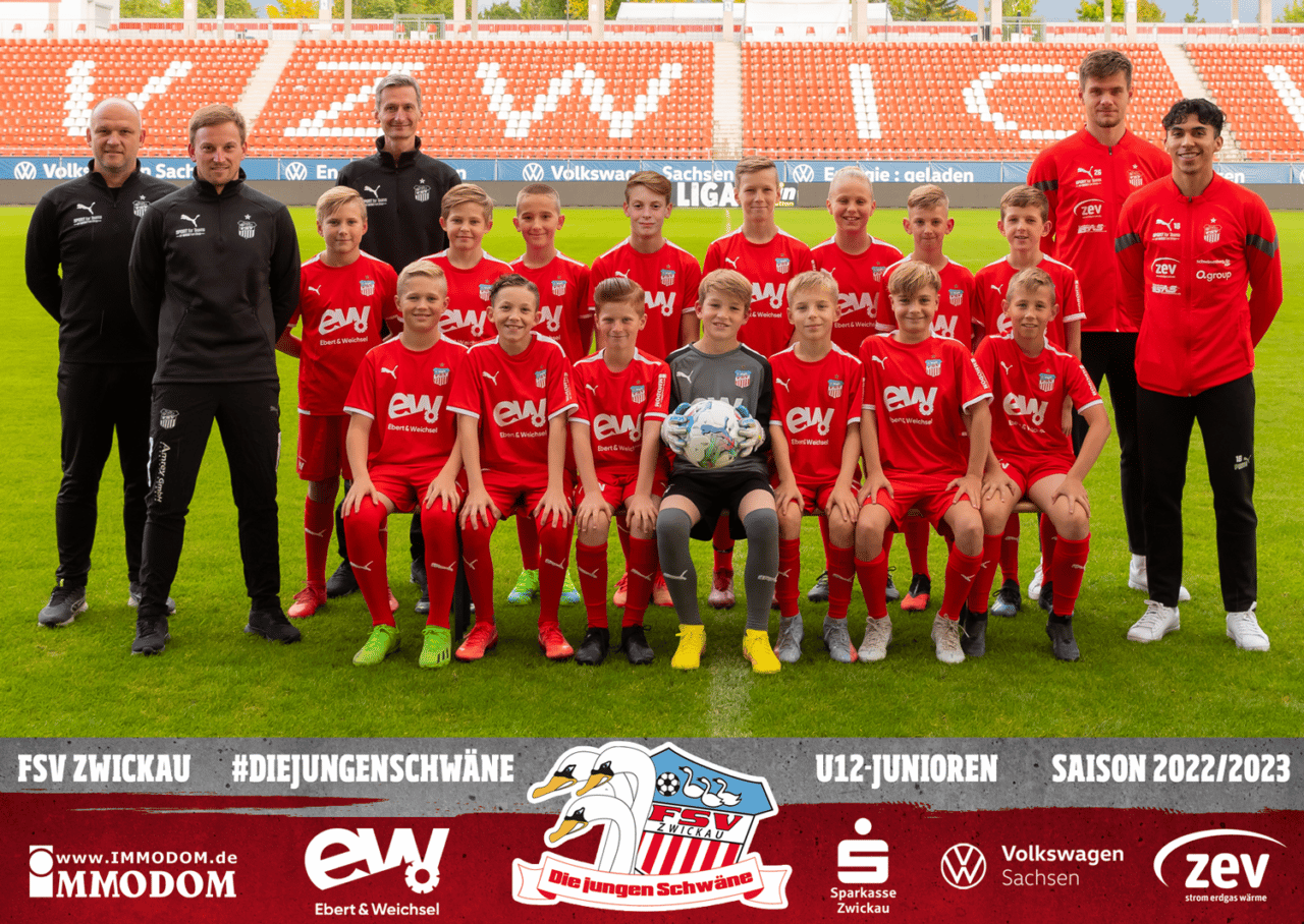 Die jungen Schwäne | FSV Zwickau