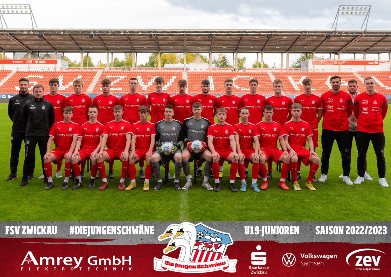 Die jungen Schwäne | FSV Zwickau